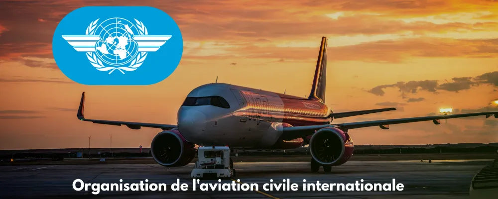OACI : l'Organisation de l'Aviation Civile Internationale – ANTAM FRANCE